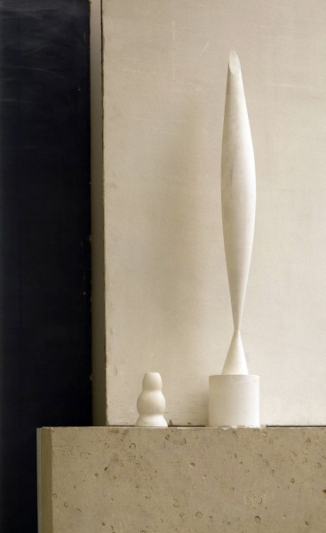 1923-constantin brancusi.oiseau-espace | Galerie du collège Faubert